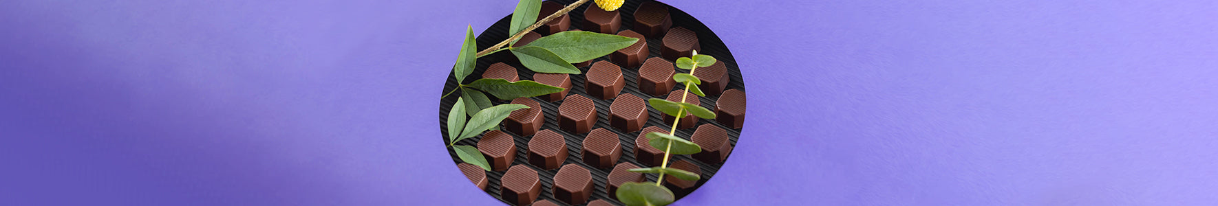 Sugarfree and Vegan Chocolate – Le Vice International